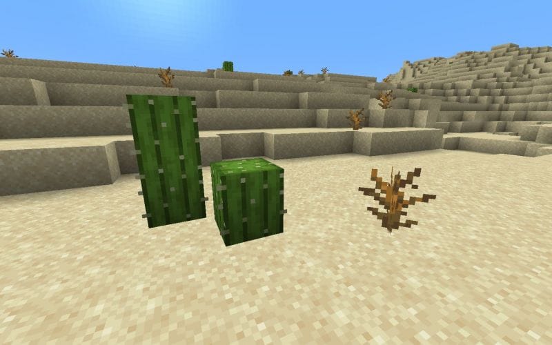 5 best things about desert biomes in Minecraft