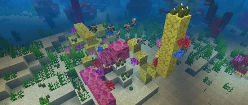 How to collect coral in Minecraft