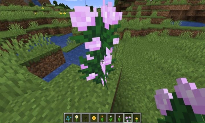 Top 5 rarest flowers in Minecraft