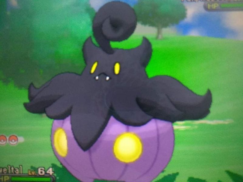 Pumpkaboo Pokémon: How to Catch, Moves, Pokedex & More