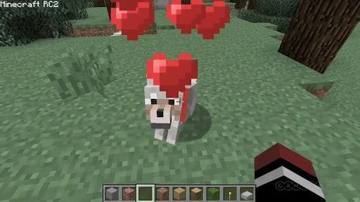 5 best food items that animal mobs eat in Minecraft
