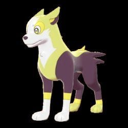 Boltund Pokémon: How to Catch, Moves, Pokedex & More