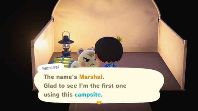 How to get campsite Villagers to move in Animal Crossing: New Horizons