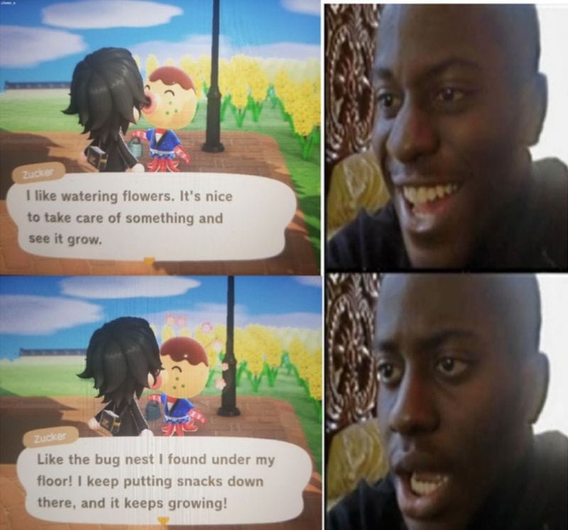 Animal Crossing: New Horizons memes that will tickle your funny bone
