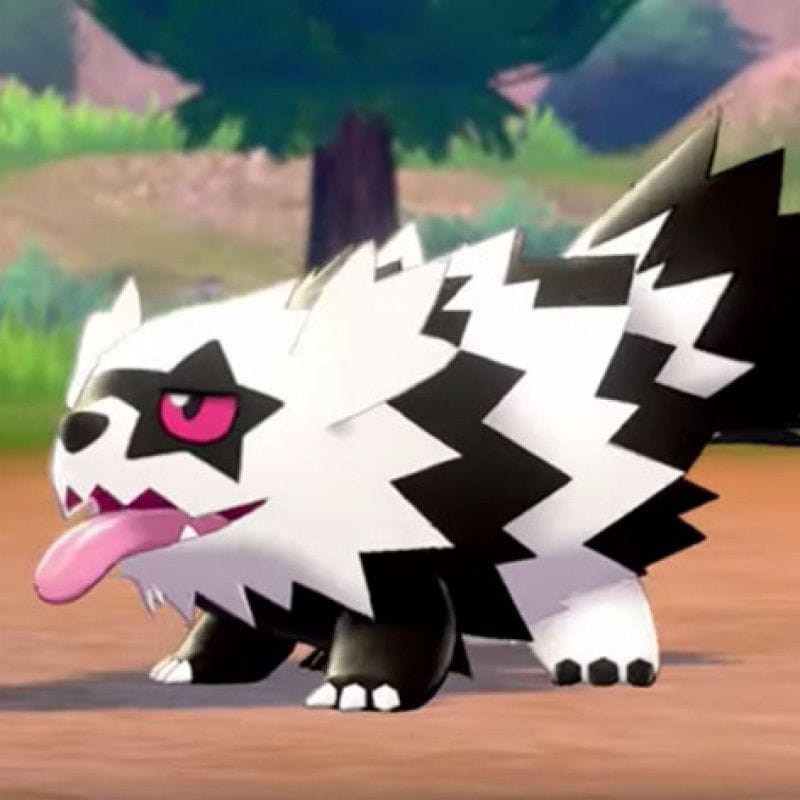 Zigzagoon Pokémon: How to Catch, Moves, Pokedex & More