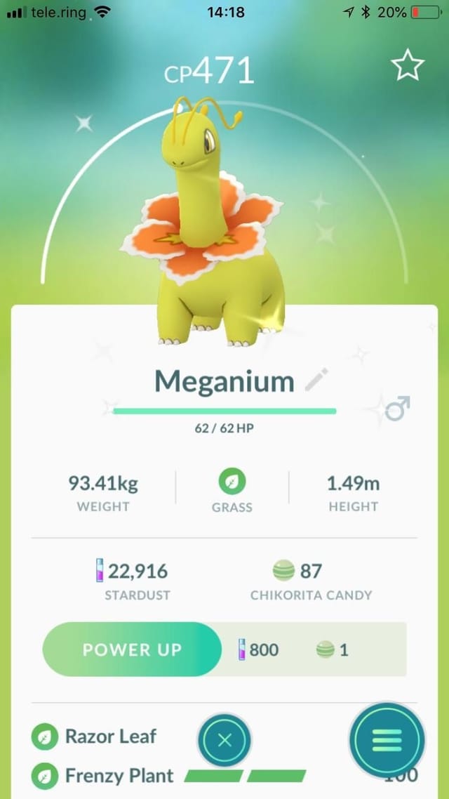 Meganium Pokémon: How to Catch, Moves, Pokedex & More