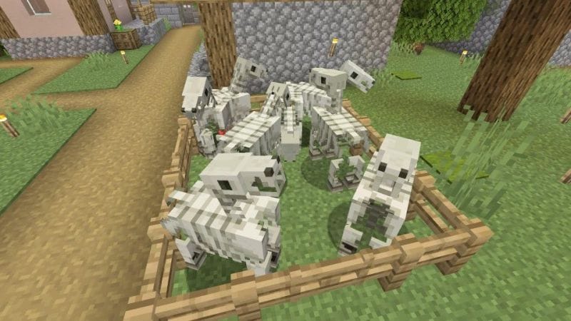 Every type of skeleton mob in Minecraft ranked