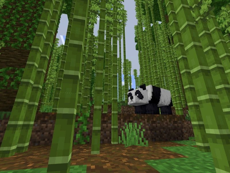 5 best Minecraft Java Edition seeds for latest update