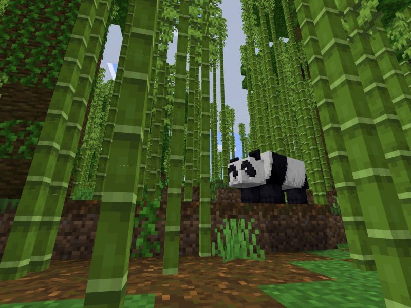 5 best Minecraft Java Edition seeds for latest update