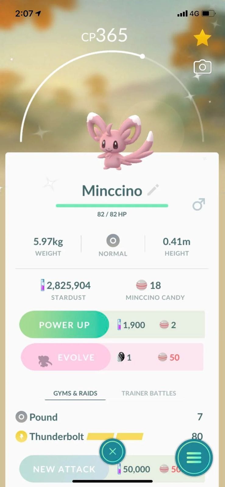Minccino Pokémon: How to Catch, Moves, Pokedex & More