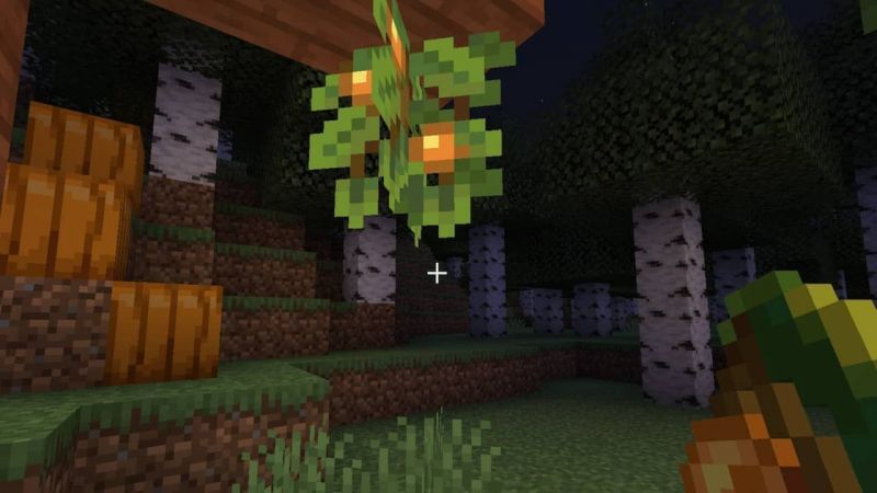 How to grow Glow Berries in Minecraft