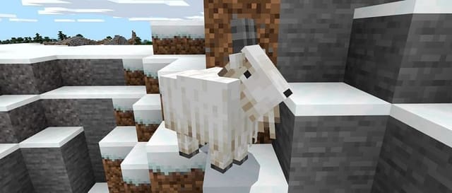 Can you tame mountain goats in Minecraft?