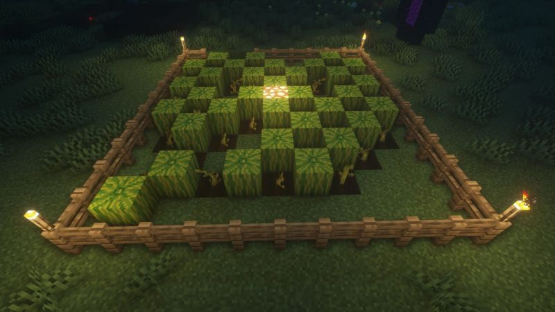 How to build a farmland in Minecraft