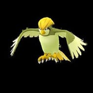 Pidgeotto Pokémon: How to Catch, Moves, Pokedex & More