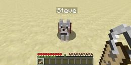 How To Use Name Tags In Minecraft