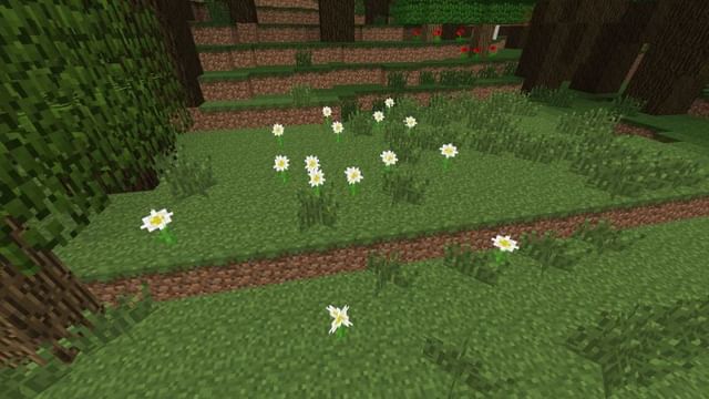 How to find every flower in Minecraft