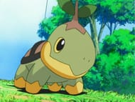 Turtwig Pokémon: How to Catch, Moves, Pokedex & More