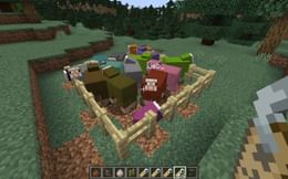 Every Minecraft Name Tag Easter Egg Explained