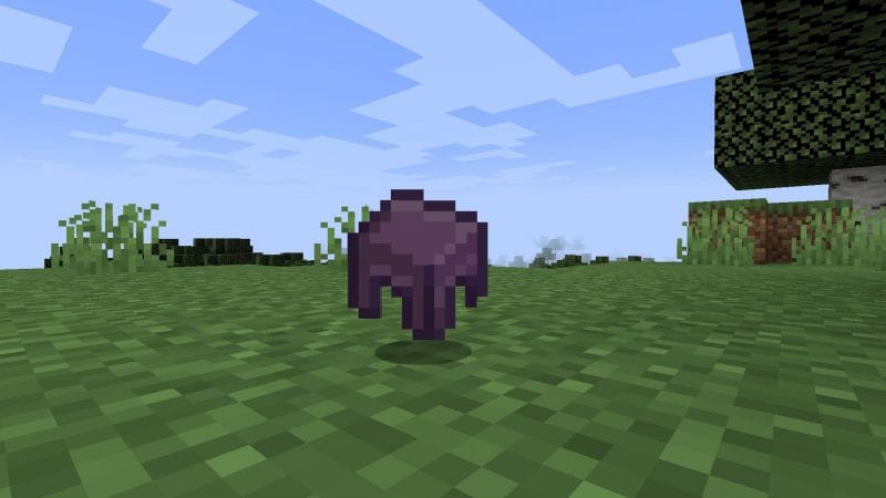 Top 10 rarest items in Minecraft