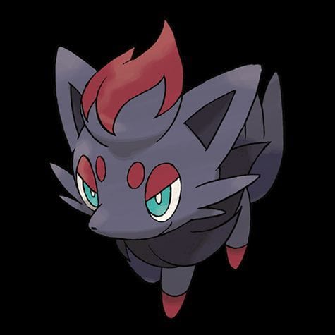 Zorua Pokémon: How to Catch, Moves, Pokedex & More
