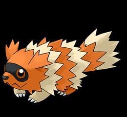 Zigzagoon Pokémon: How to Catch, Moves, Pokedex & More