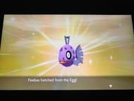 Feebas Pokémon: How to Catch, Moves, Pokedex & More