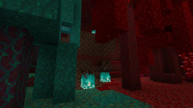 Warped Forest vs Crimson Forest in Minecraft: How different are the two ...