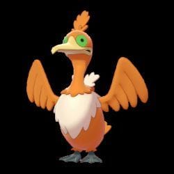 Cramorant Pokémon: How to Catch, Moves, Pokedex & More