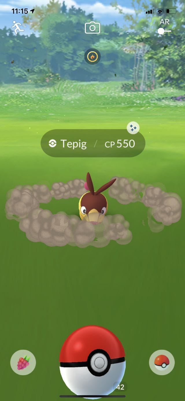 Tepig Pokémon: How to Catch, Moves, Pokedex & More