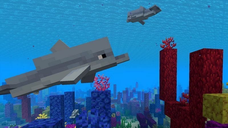 Top 5 water mobs in Minecraft