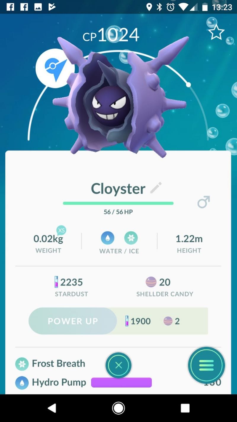 Cloyster Pokémon: How to Catch, Moves, Pokedex & More