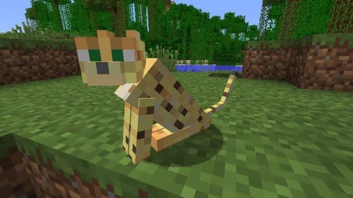 Where to find ocelots in Minecraft