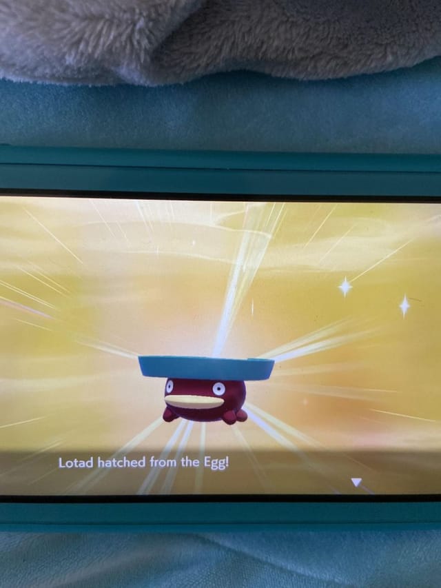 Lotad Pokémon: How to Catch, Moves, Pokedex & More