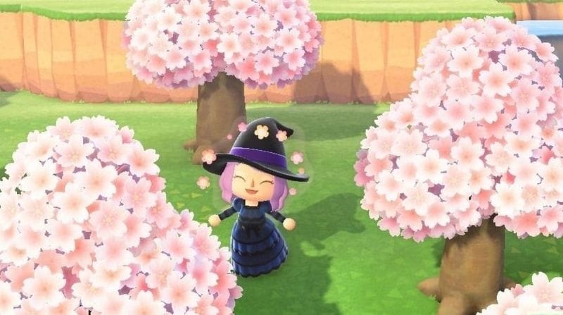 How to get Cherry Blossom Trees in Animal Crossing: New Horizons