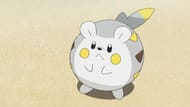 Togedemaru Pokémon: How to Catch, Moves, Pokedex & More