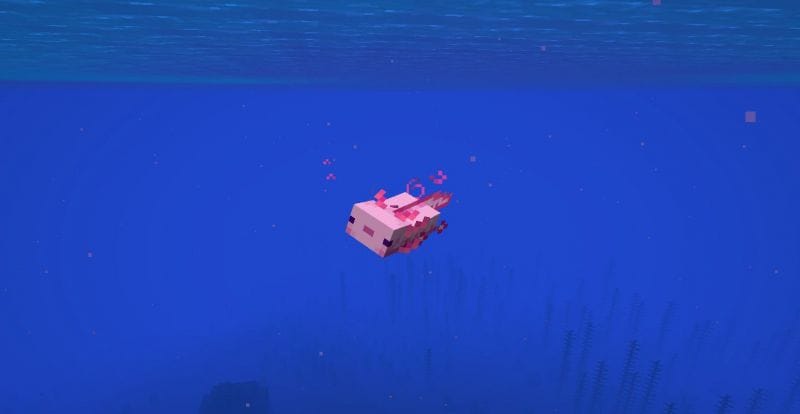 Top 5 water mobs in Minecraft