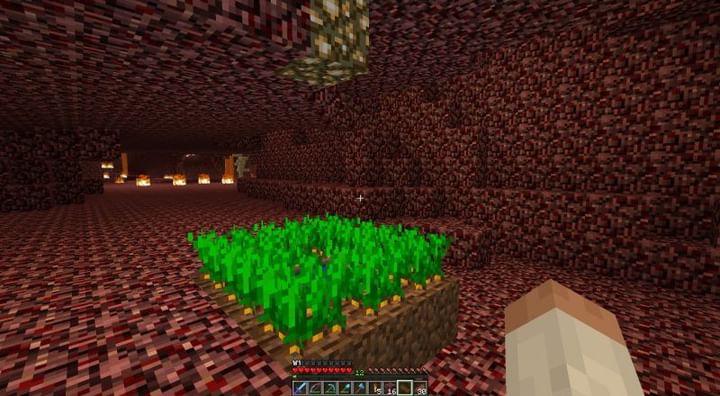 Top 5 Nether farms in Minecraft