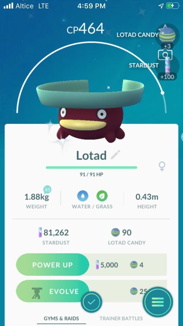Lotad Pokémon: How to Catch, Moves, Pokedex & More