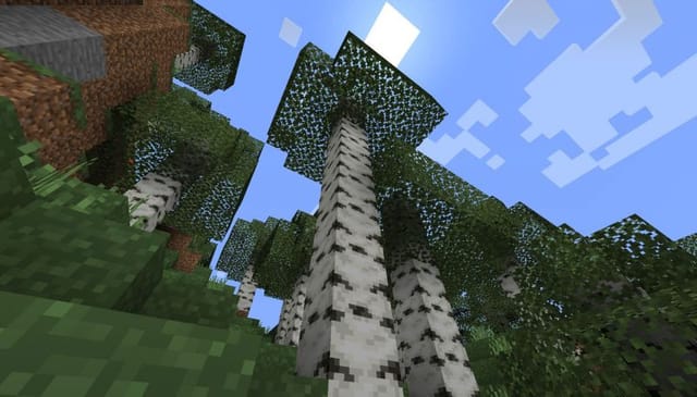 How to grow big trees in Minecraft