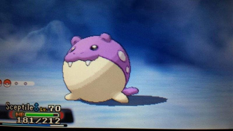 Spheal Pokémon: How to Catch, Moves, Pokedex & More