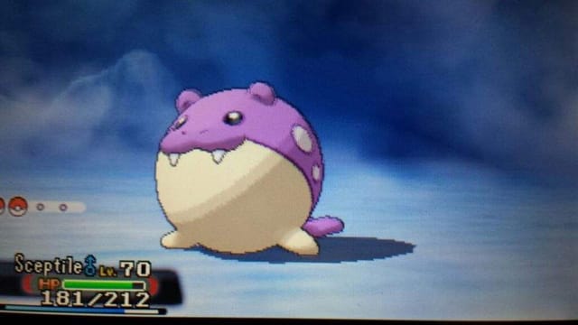 Spheal Pokémon: How to Catch, Moves, Pokedex & More