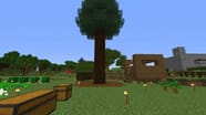 How To Grow Big Trees In Minecraft How To Grow Big Trees In Minecraft
