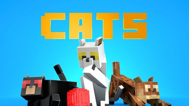 What is the easiest way to get a cat in Minecraft?