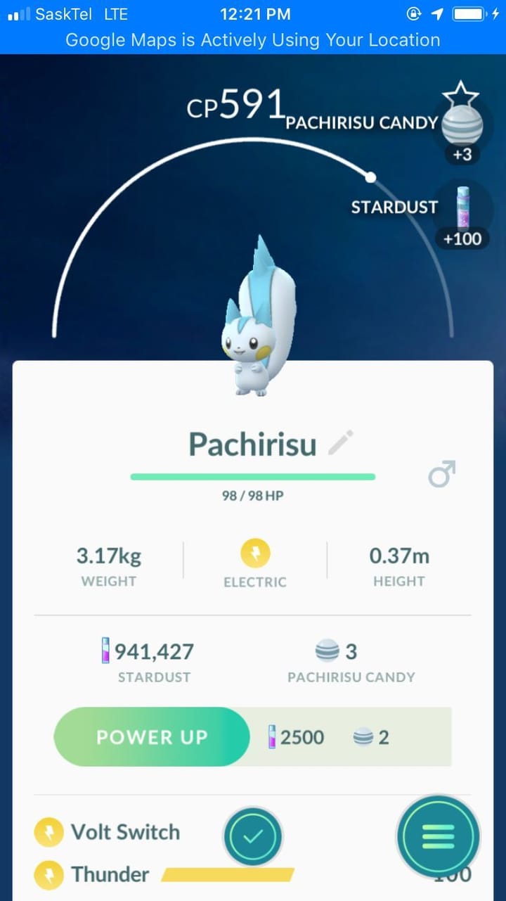 Pachirisu Pokémon: How to Catch, Moves, Pokedex & More