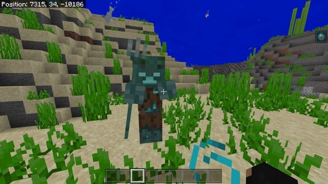 Top 5 water mobs in Minecraft