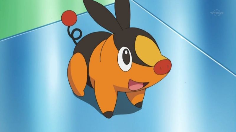 Tepig Pokémon: How to Catch, Moves, Pokedex & More