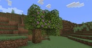 What does rooted dirt do in Minecraft? All you need to know about its uses