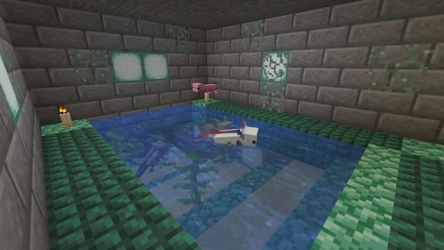 List of all axolotls in Minecraft and how to capture them