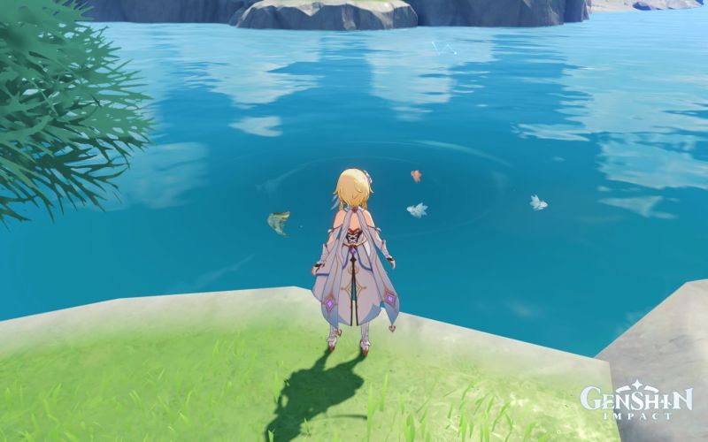 All 5 Pufferfish locations in Genshin Impact: interactive map location ...