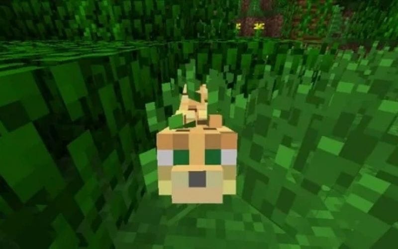Ocelots in Minecraft: All you need to know